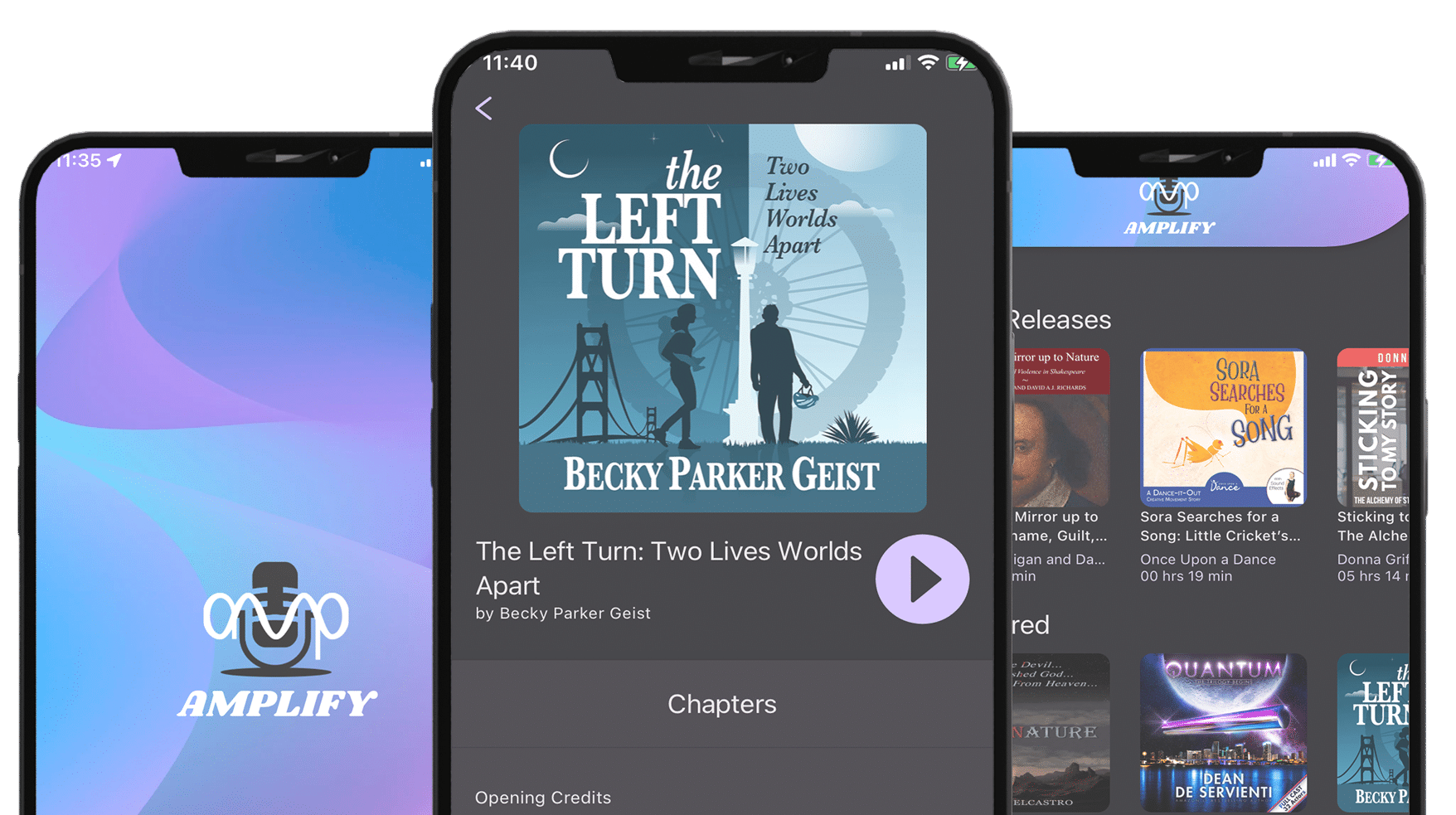 AMPlify Your Impact | Buy Direct | Pro Audio Voices & AMPlify Audiobooks